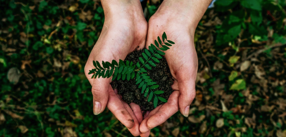 Home [eleazer85.github.io]